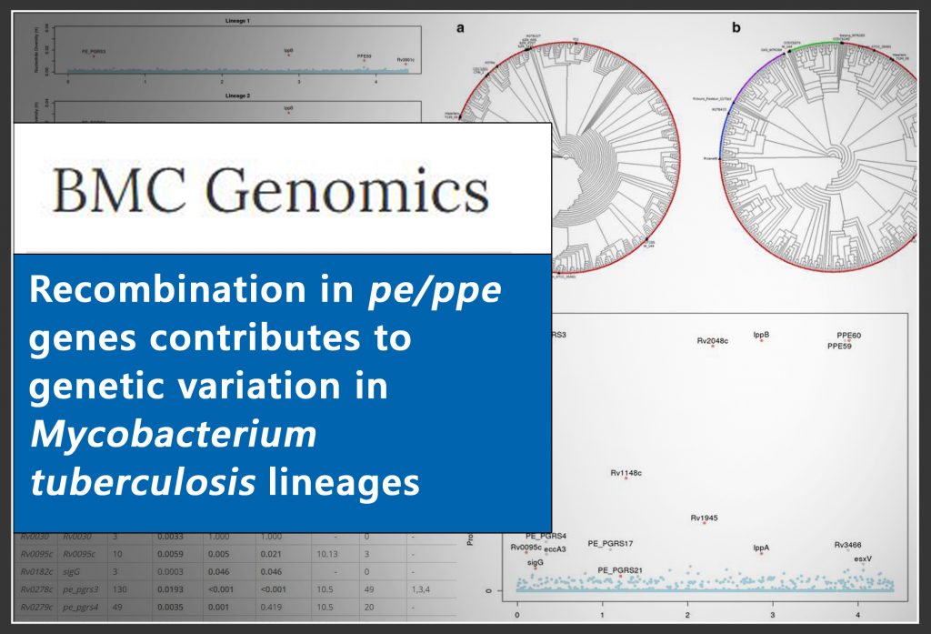 BMC Genomics publica estudo abrangente de genes do bacilo de Koch ...