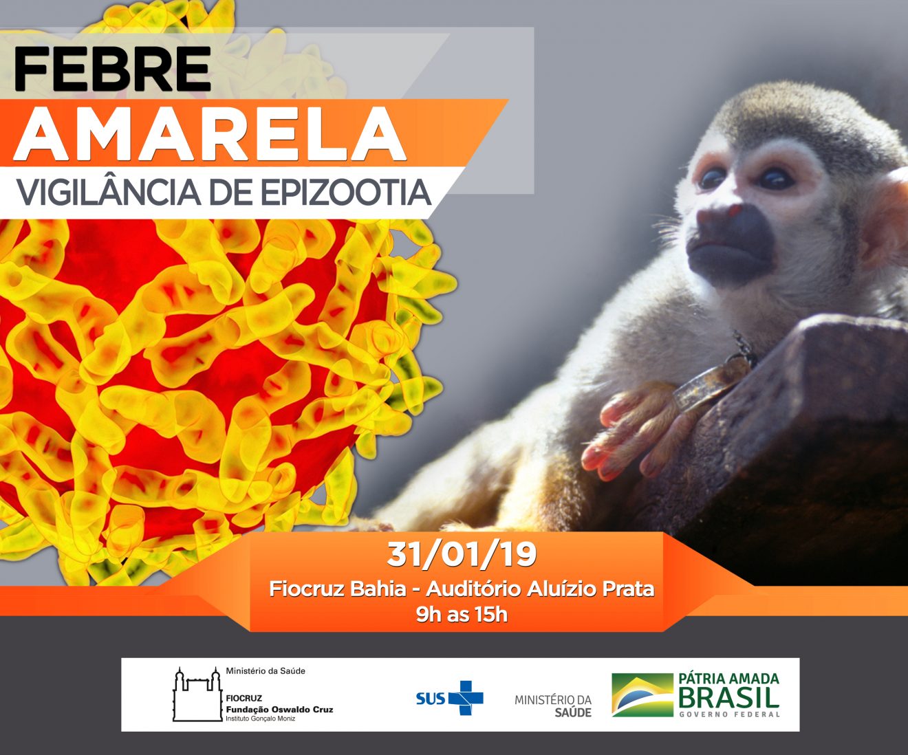 Seminário Febre Amarela: Vigilância de Epizootia será realizado na ...